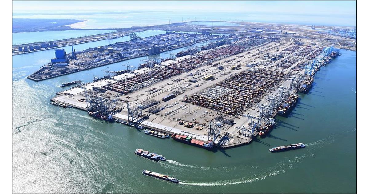 Nuovo container terminal di TIL (MSC) e Hutchison Ports nel porto di ...