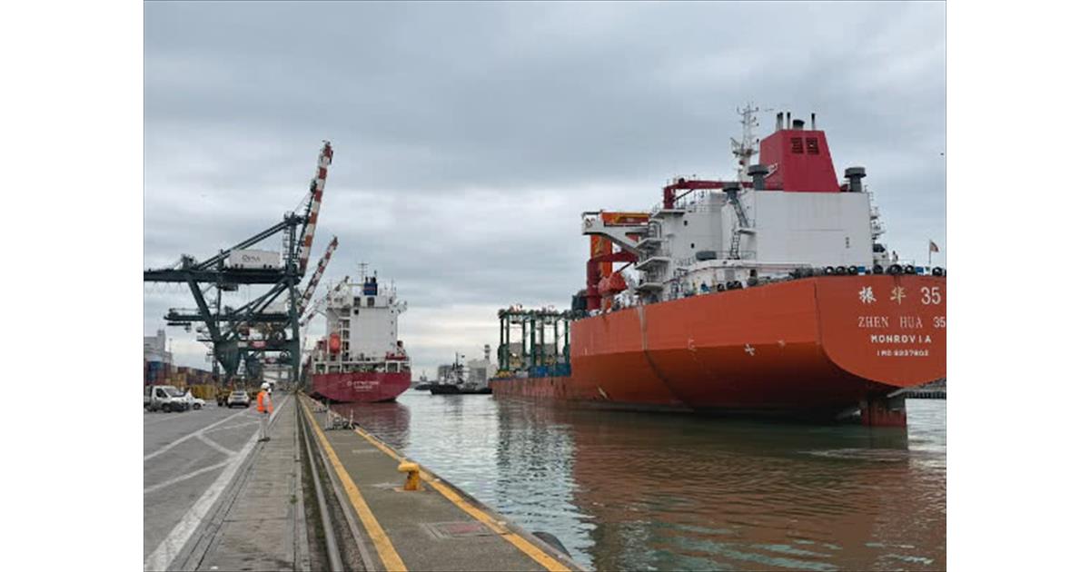 Three new e-RTG yard cranes have arrived at the PSA Venice-Vecon terminal